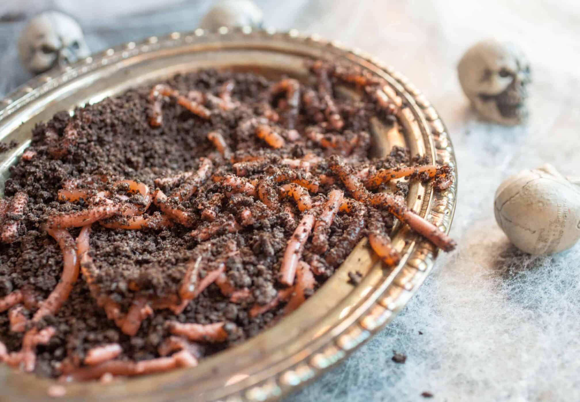 Homemade Realistic Worms - Halloween Recipe ~ Crunch Time Kitchen