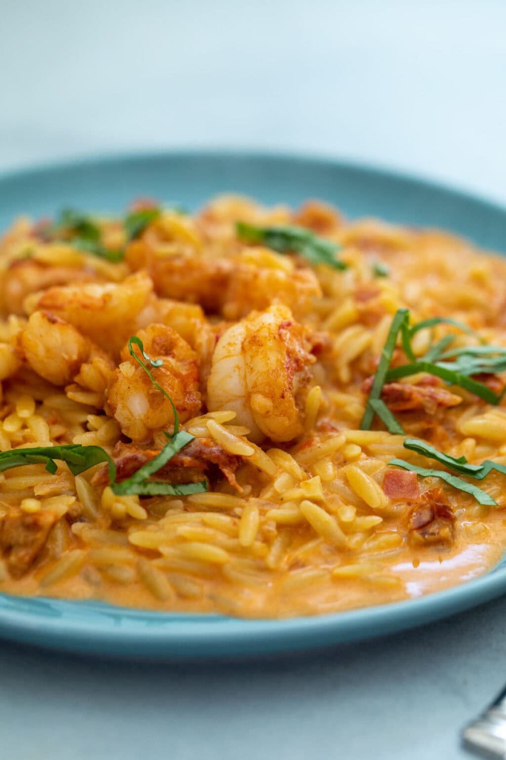 Sun-Dried Tomato Shrimp Orzo Pasta